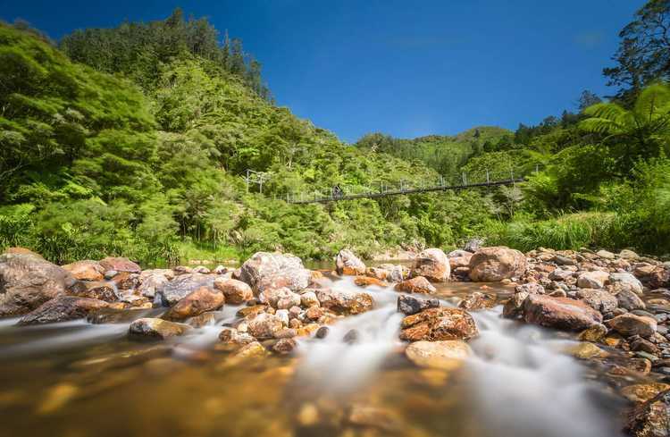 Cooks Beach & Ferry Landing | Mercury Bay | The Coromandel